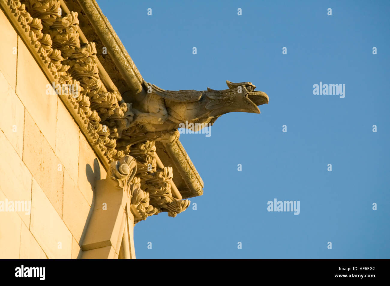 Gargoyle on Cathedral in Plaza Mayor, Cuenca, New Castile, Castilla-La ...