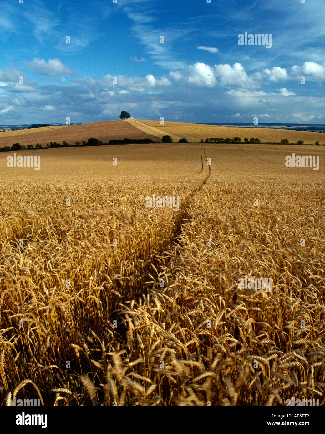 Jcl1444s hi-res stock photography and images - Alamy