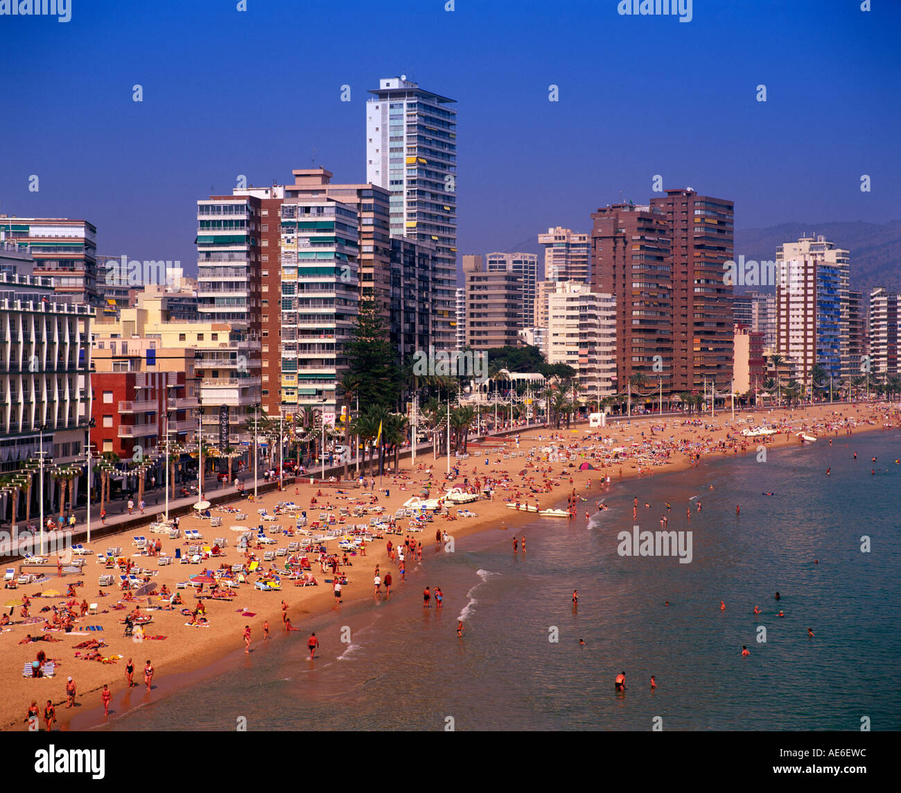 Benidorm Beach, Benidorm, Valencia, Spain Stock Photo: 7762203 - Alamy