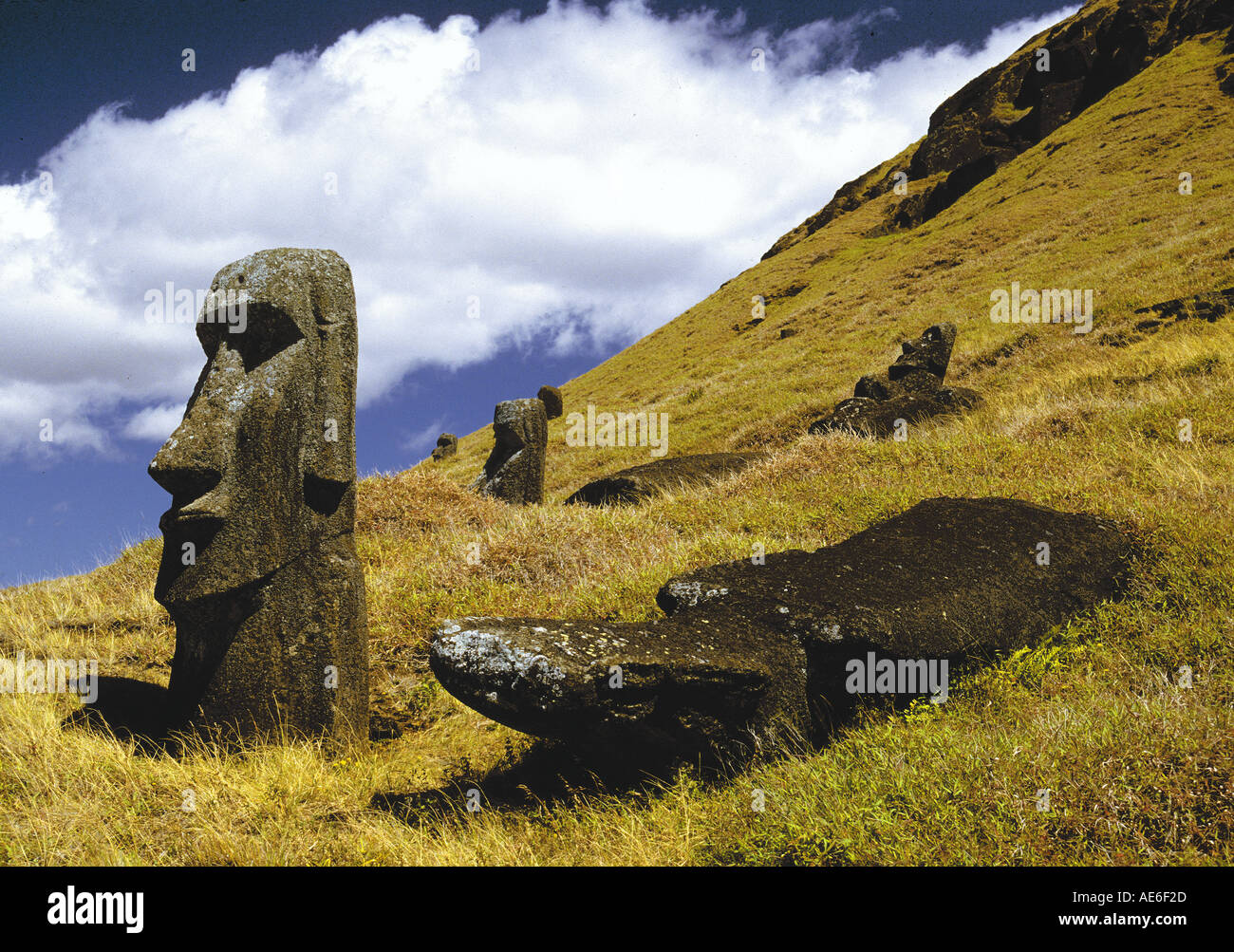 Statues on landscape, Moai Statue, Easter Island, Chile Stock Photo - Alamy
