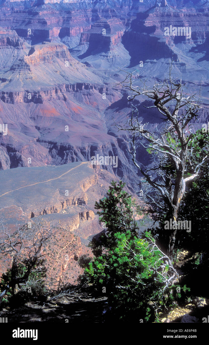 The Grand Canyon Arizona USA seen from Bright Angel overlook Vertical ...