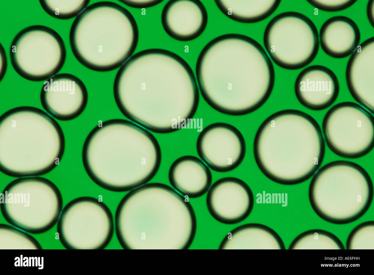 Bubbles! In actuality, this design is a photograph of a burned sugar ...