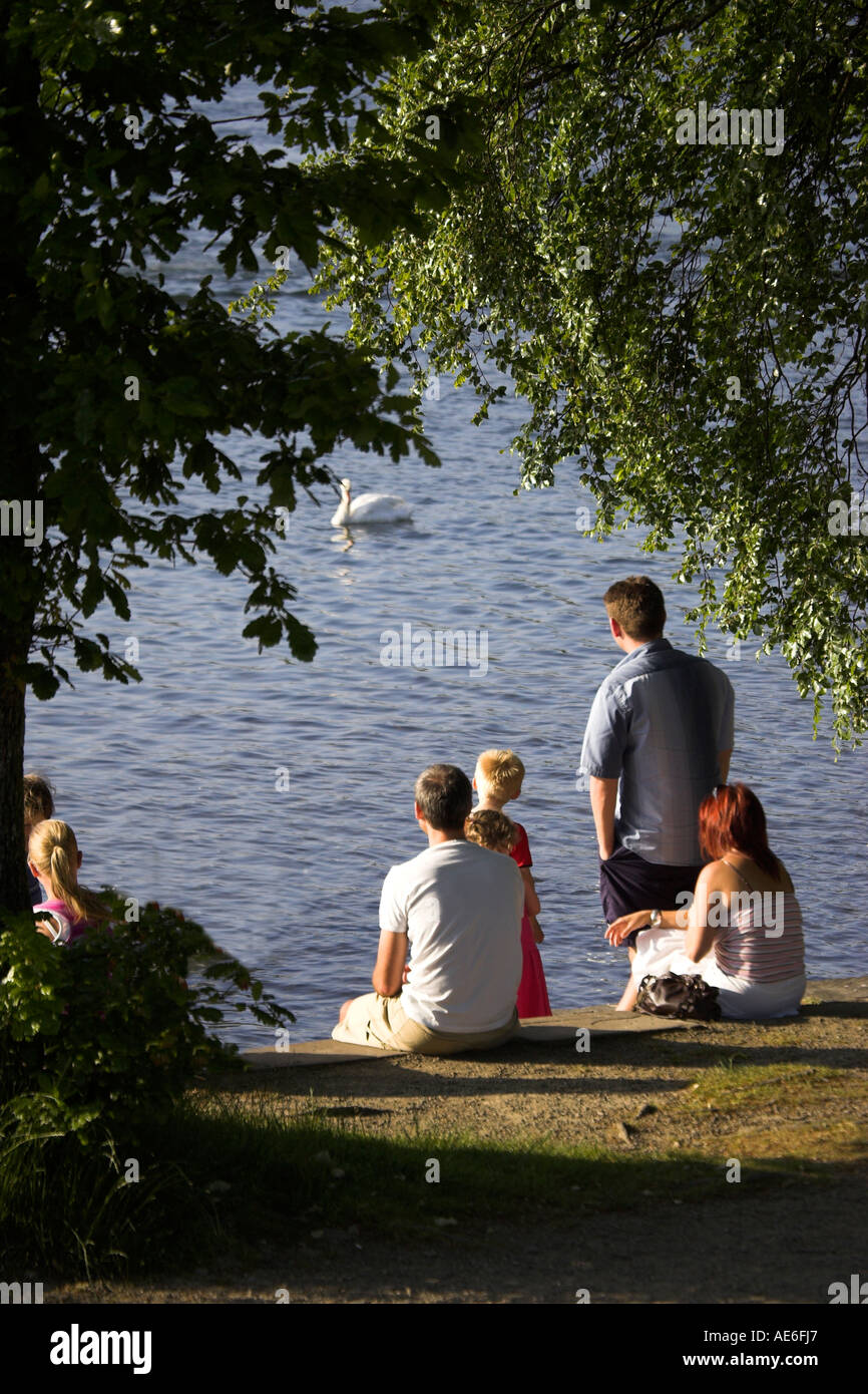Waterbird windermere hi-res stock photography and images - Alamy