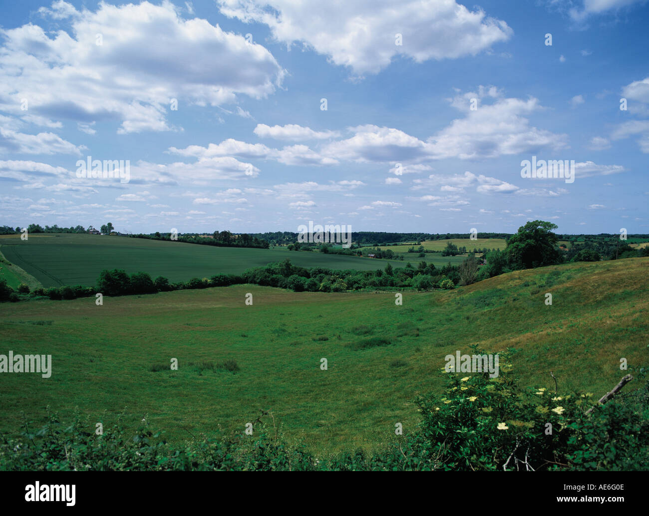 Open fields surrounding the small village of Higham in the heart of ...