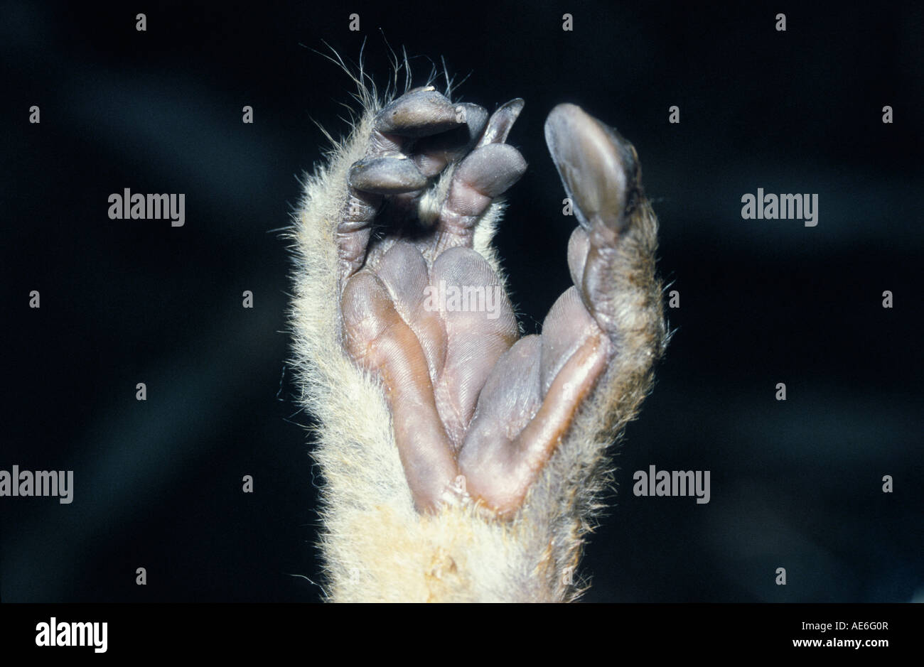 Bios image hi-res stock photography and images - Alamy