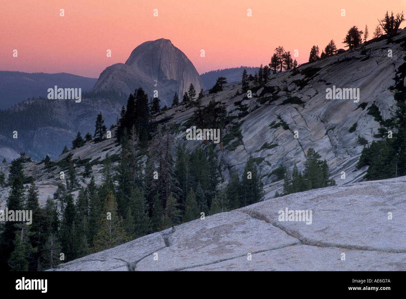 Evening light and pink sky over Half Dome from Olmsted Point Yosemite ...