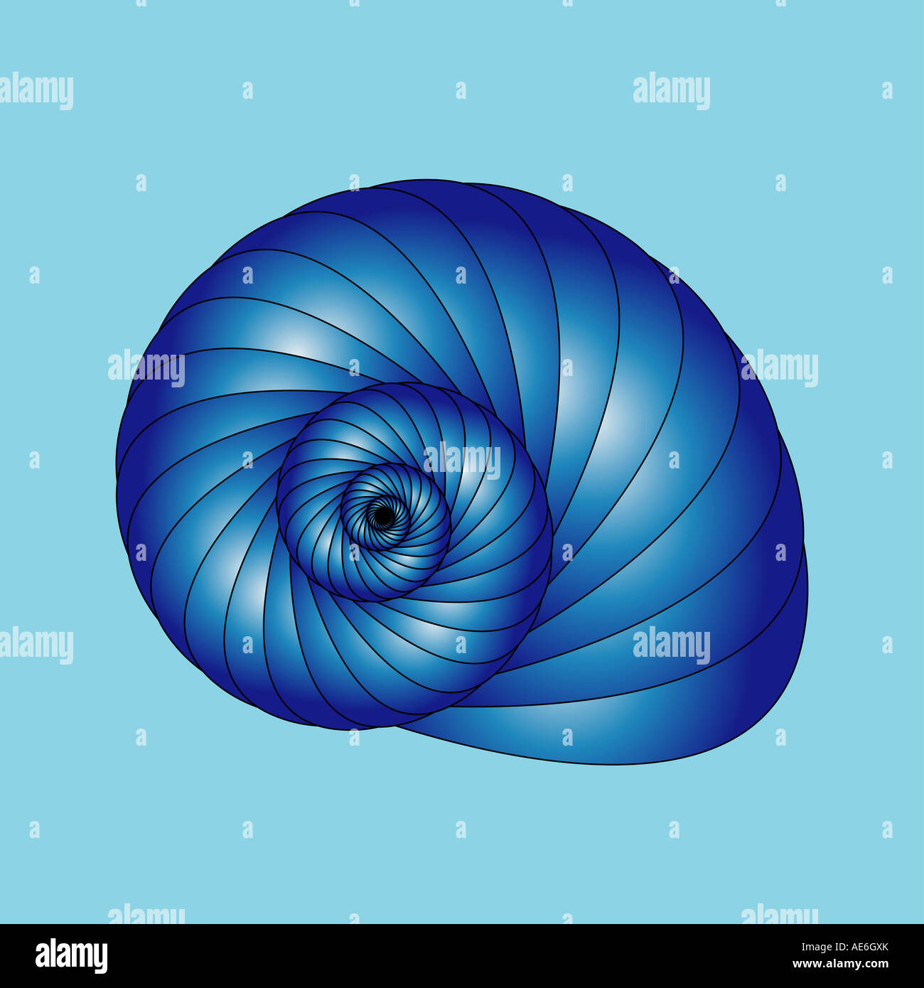 A vector shell Stock Photo - Alamy