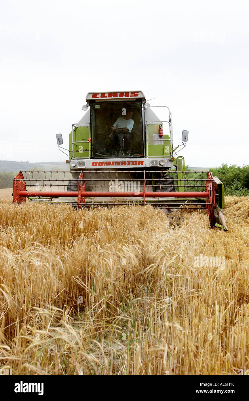 Combine Harvester combining Barley in a field nr Amberly West Sussex ...