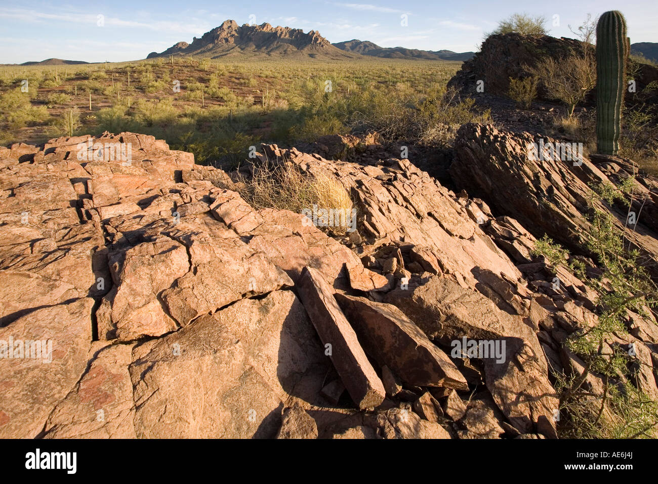 Ironwood National Monument Ragged Top mountain in the distance near ...