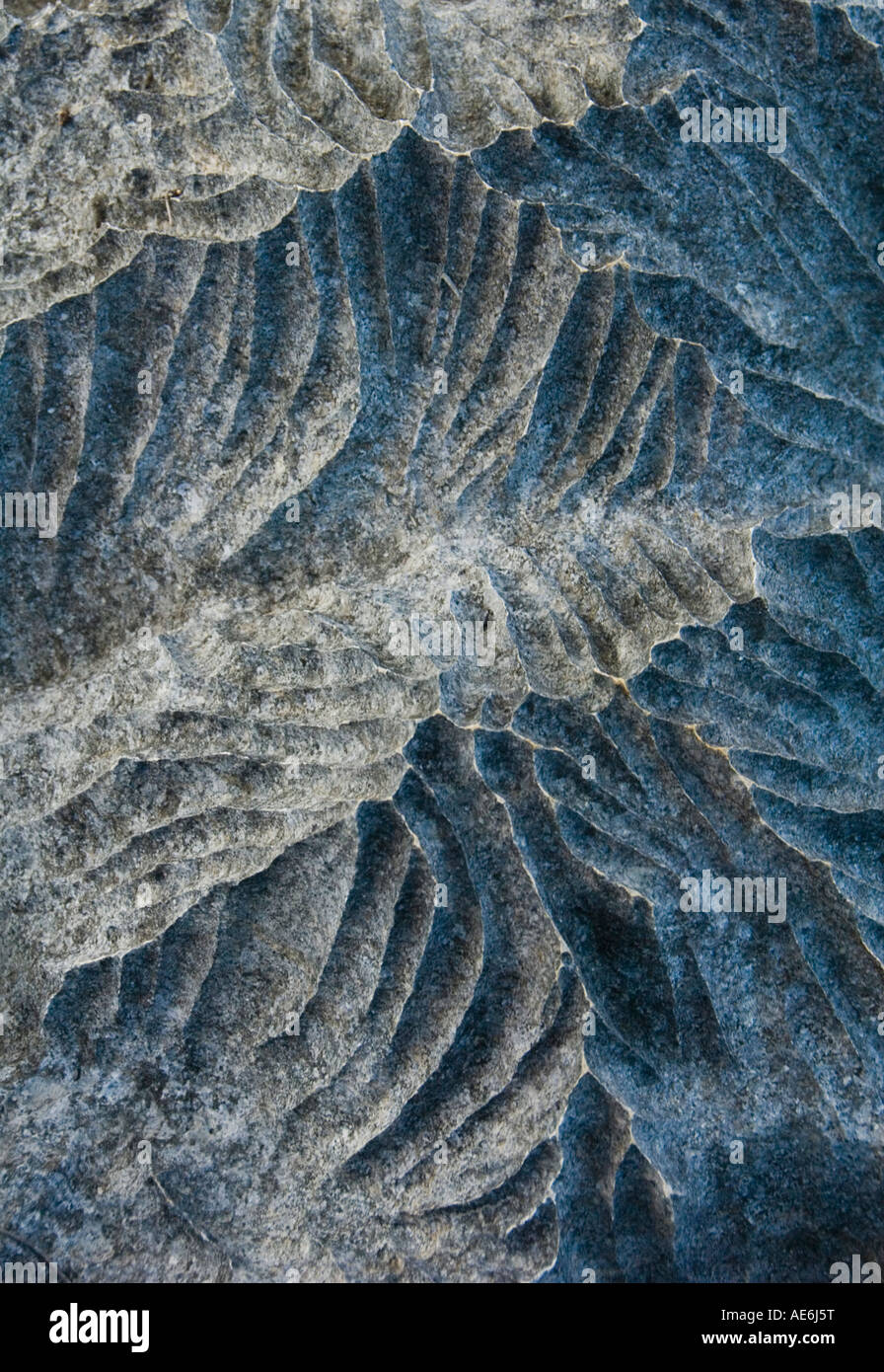 Ankarana limestone madagascar rock hi-res stock photography and images ...