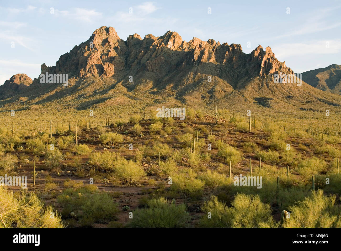 Ironwood national monument ragged top hi-res stock photography and images - Alamy