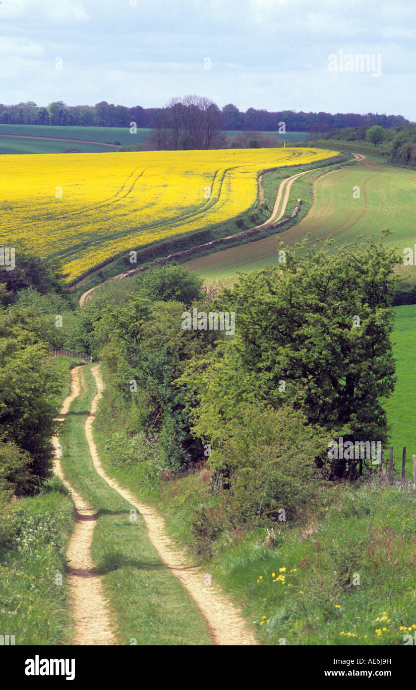 A farm and bridle track in the Cotswolds, Gloucestershire, England ...