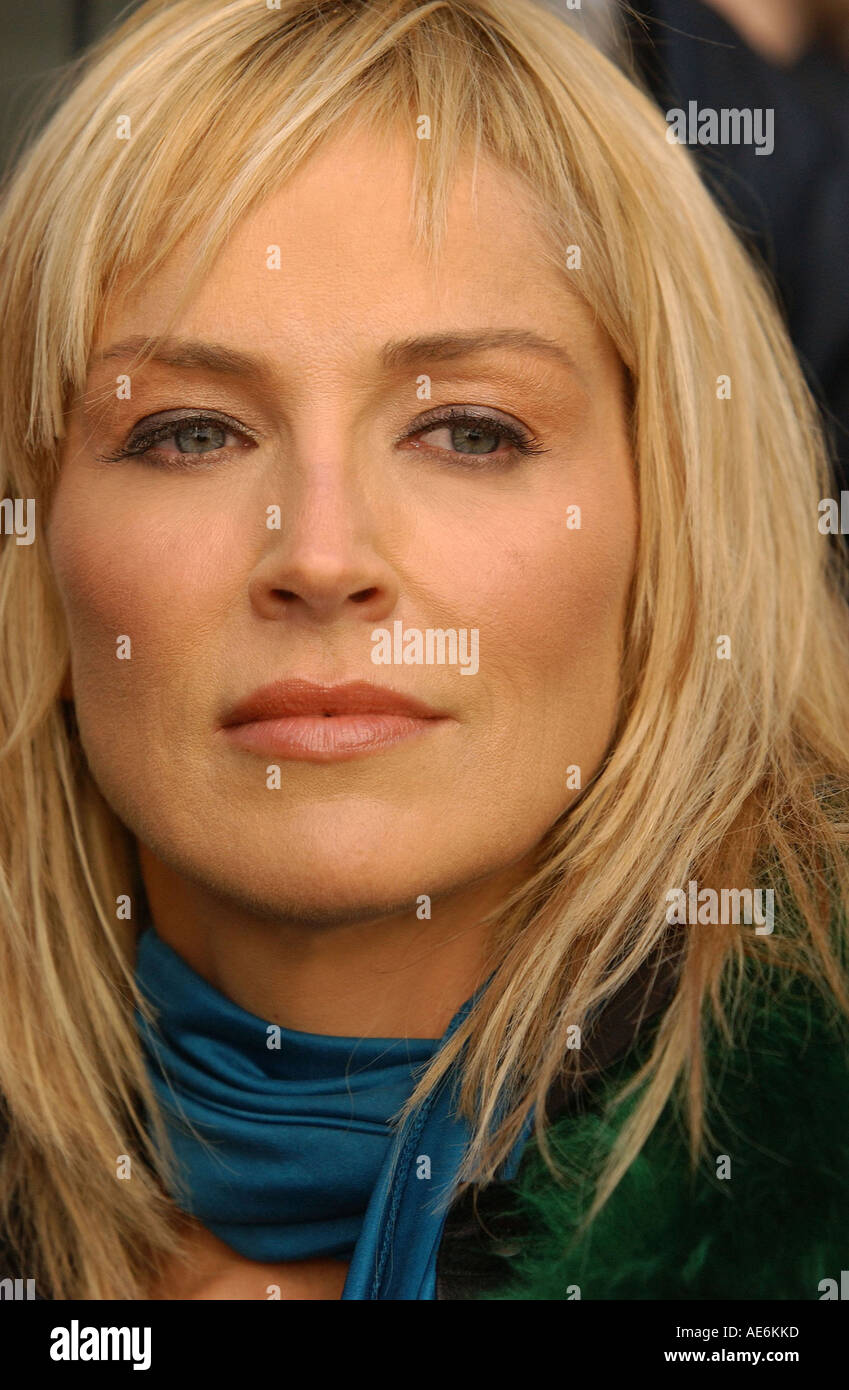 Basic Instinct 2 Actress