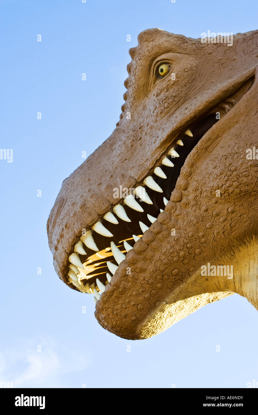 T Rex - Dinosaur Valley State Park, TX Stock Photo - Alamy