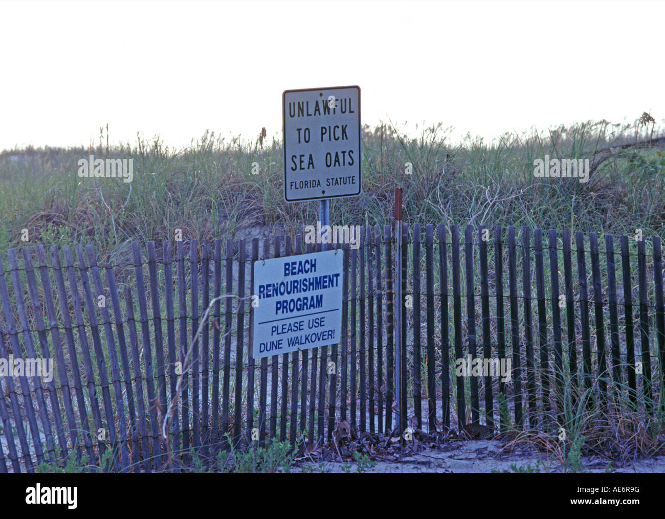 Warning signs that it is unlawful to pick sea oats and beach ...