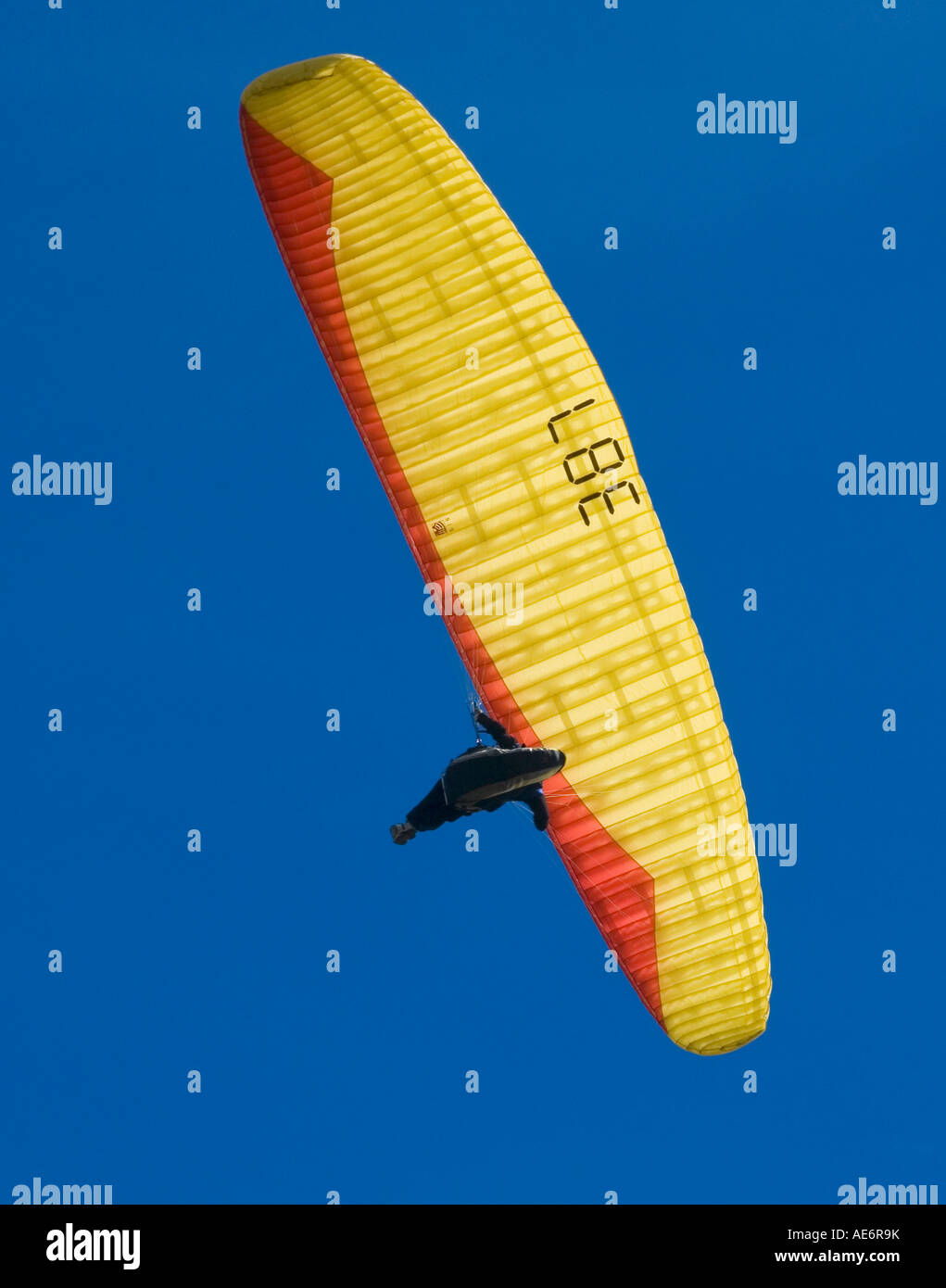 Glide from canopy hi-res stock photography and images - Alamy