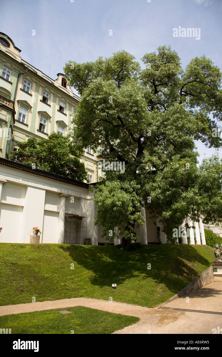 Garden on the ramparts hi-res stock photography and images - Alamy