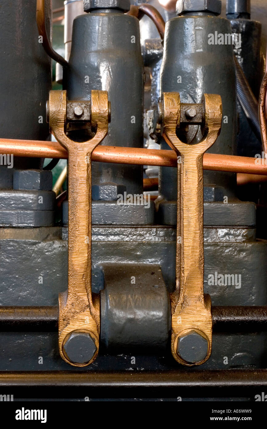 The mutter museum hi-res stock photography and images - Alamy