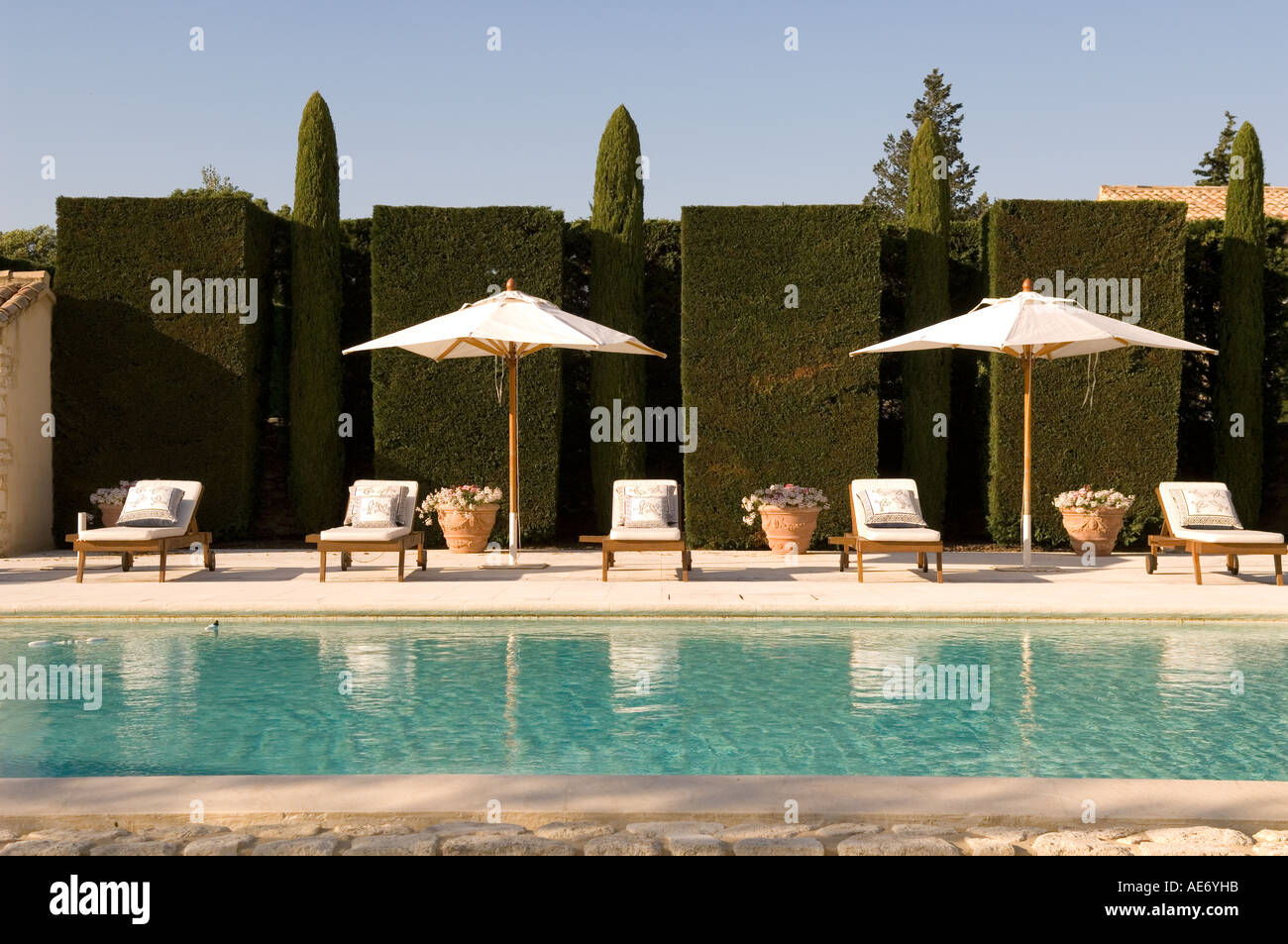 swimming pool with sun loungers and parasols and trimmed hedge in ...