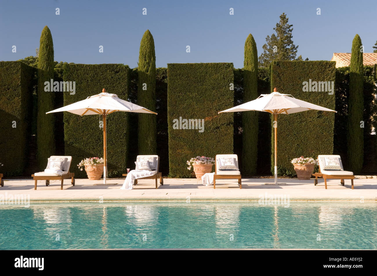 swimming pool with loungers and parasols with trimmed hedge in ...