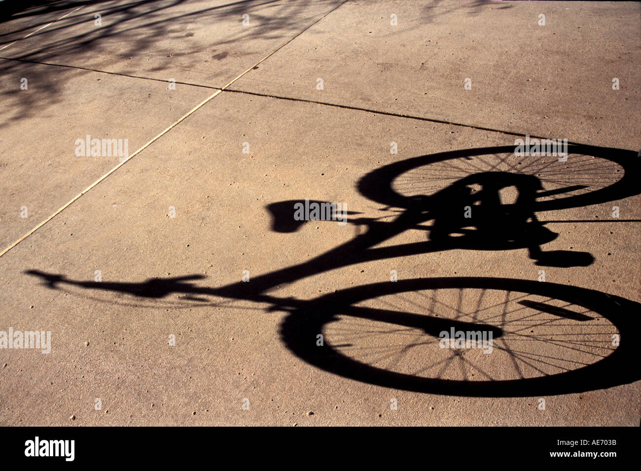 Shadow girl riding bike hi-res stock photography and images - Alamy