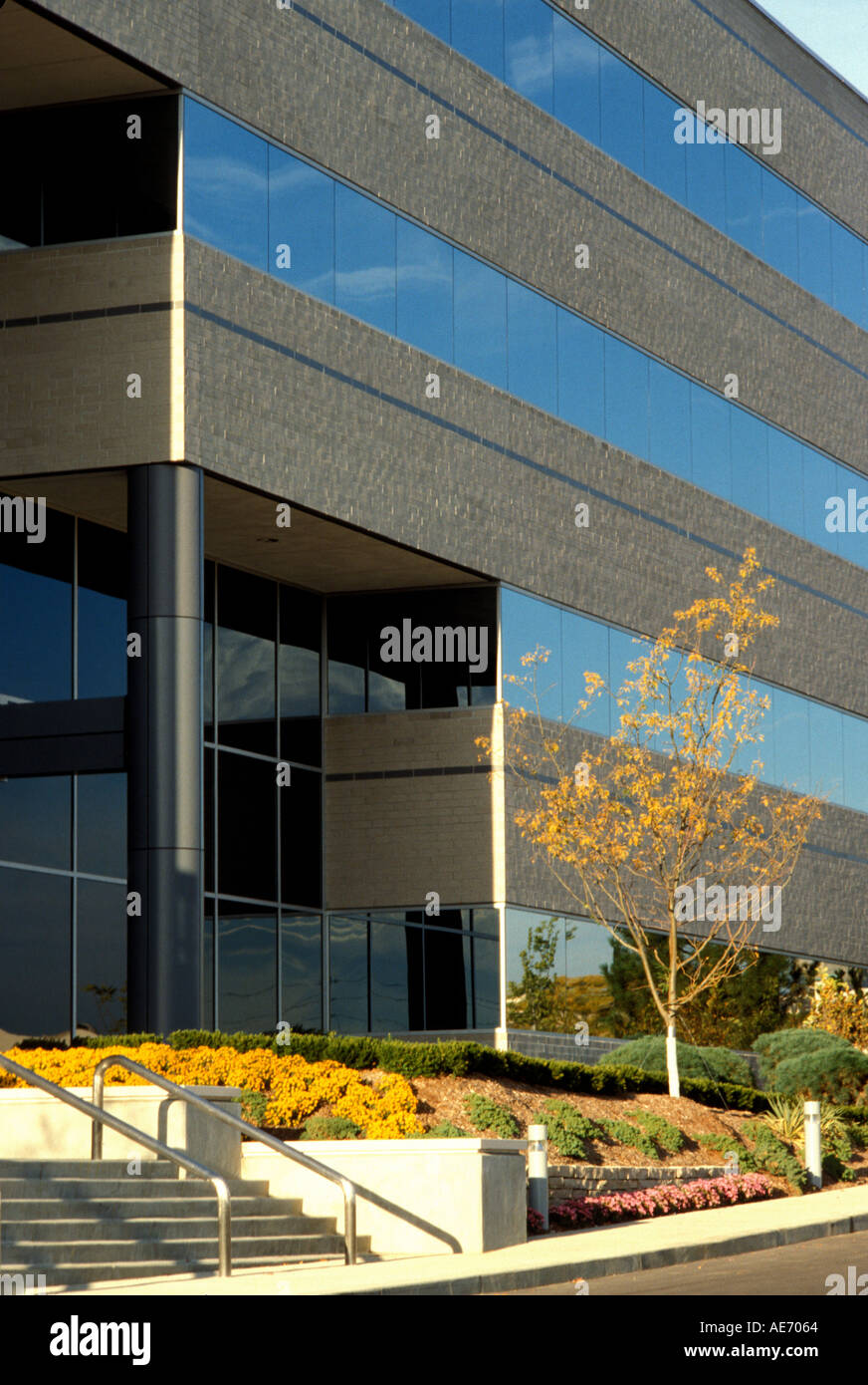 Office building with flowers Stock Photo - Alamy