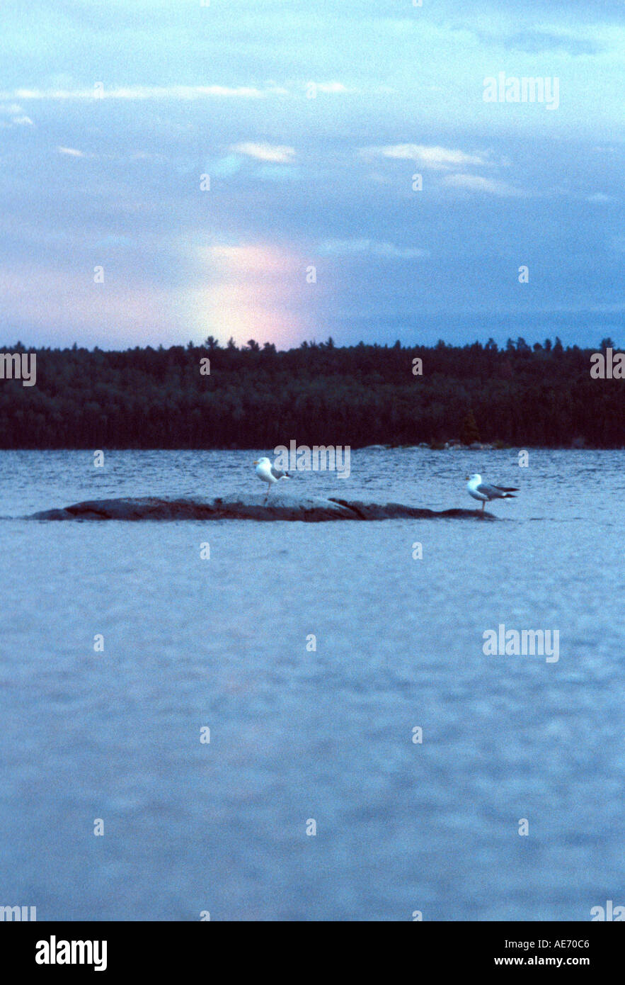 Ontario quetico provincial park hi-res stock photography and images - Alamy