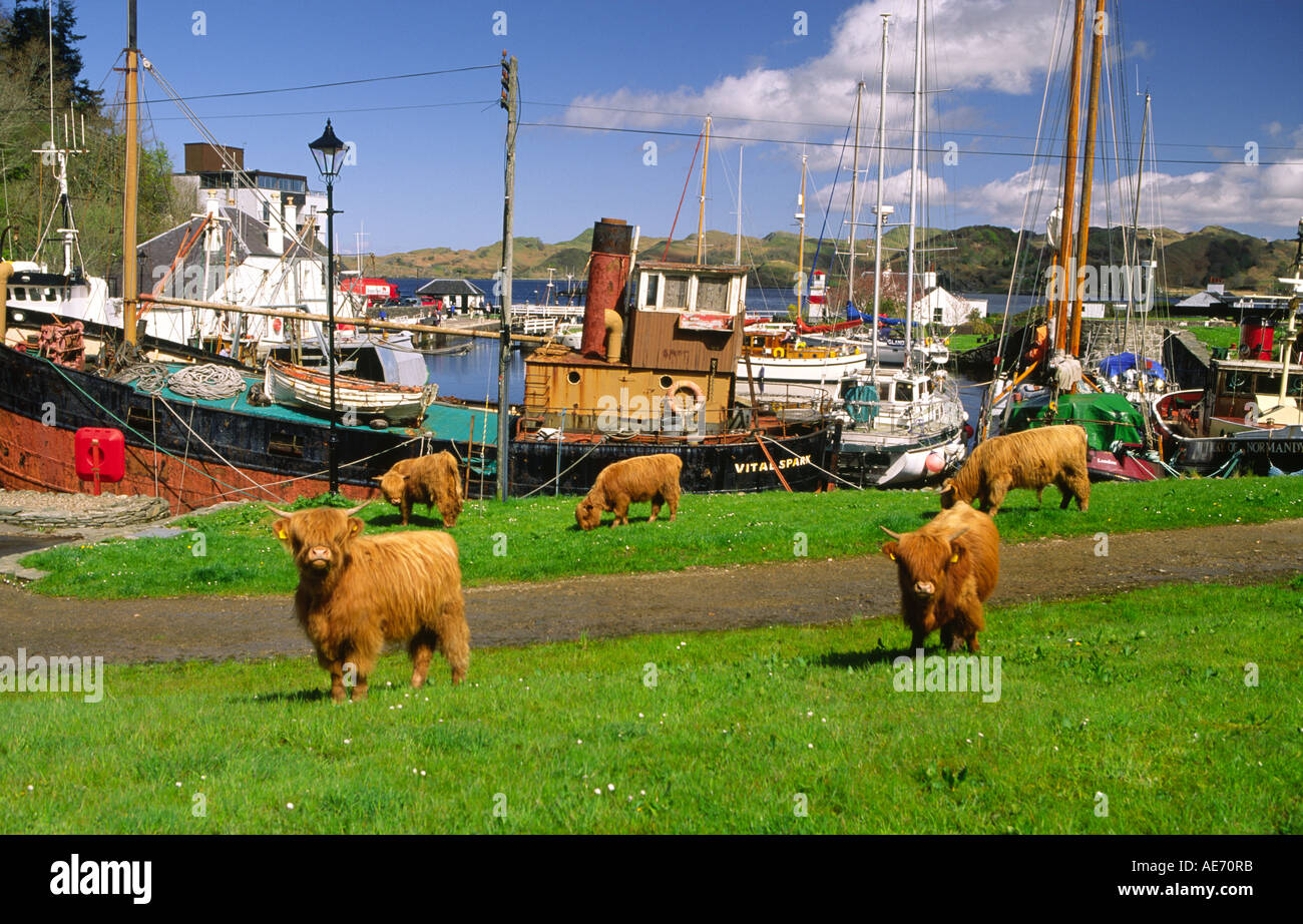 Para handy hi-res stock photography and images - Alamy