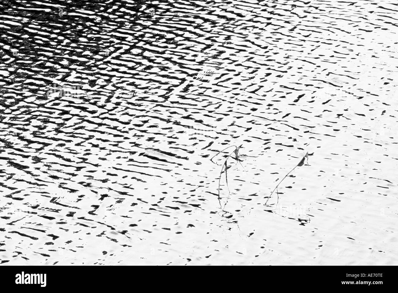 Abstract Patterns in Water Stock Photo - Alamy