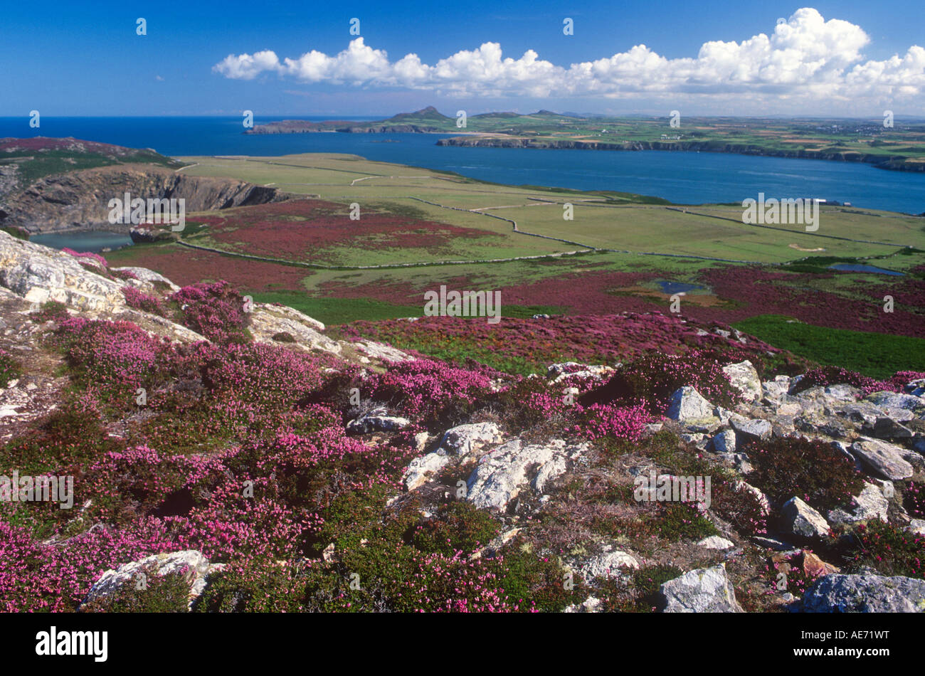 Lush island coast hi-res stock photography and images - Alamy