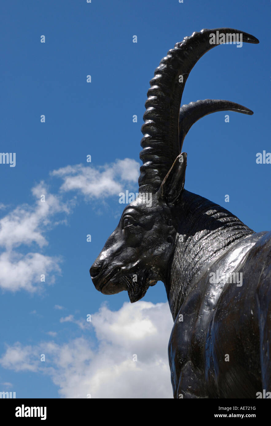 Statue of ibex Monetier les bains France Stock Photo - Alamy