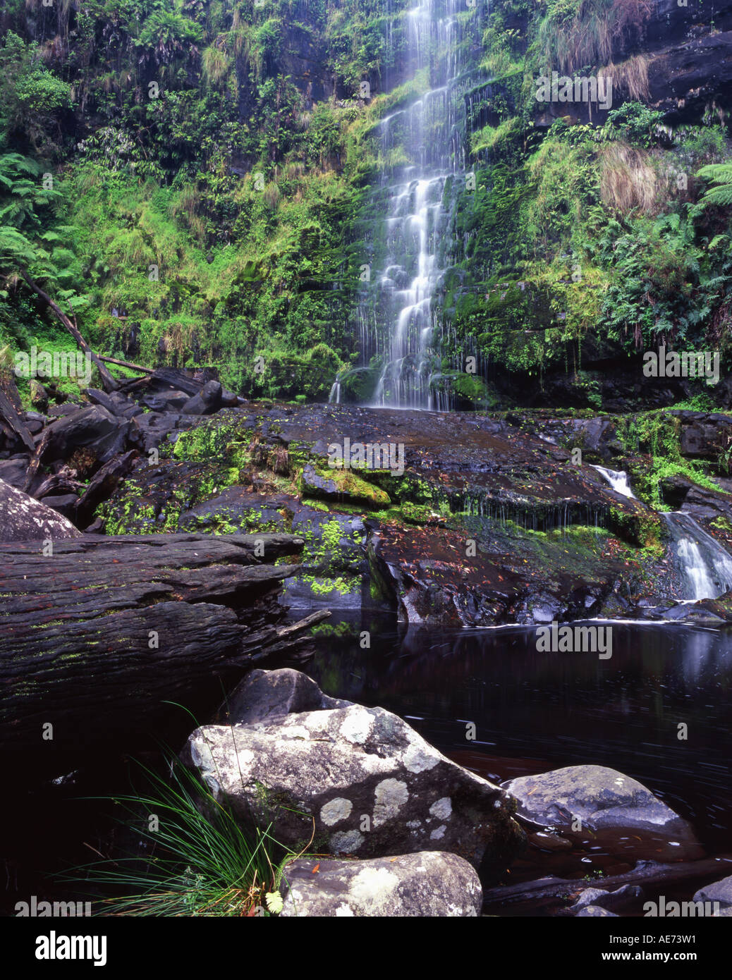 Erskine Falls Angahook Lorne State Park Victoria Australia Stock Photo ...