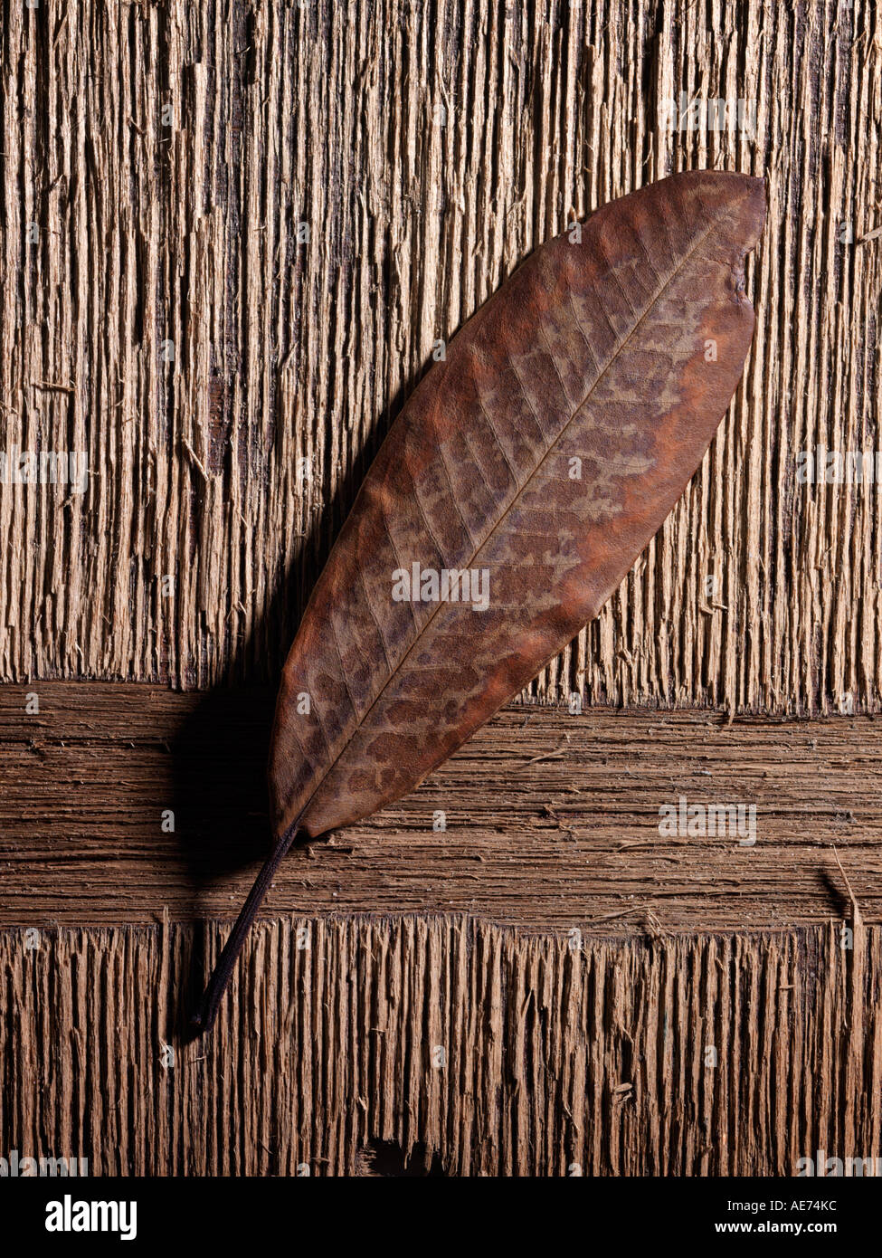 An Autumn leaf on some distressed ply wood background Stock Photo - Alamy