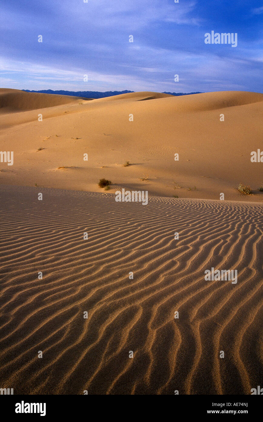 Imperial Sand Dunes National Recreation Area in southern California ...