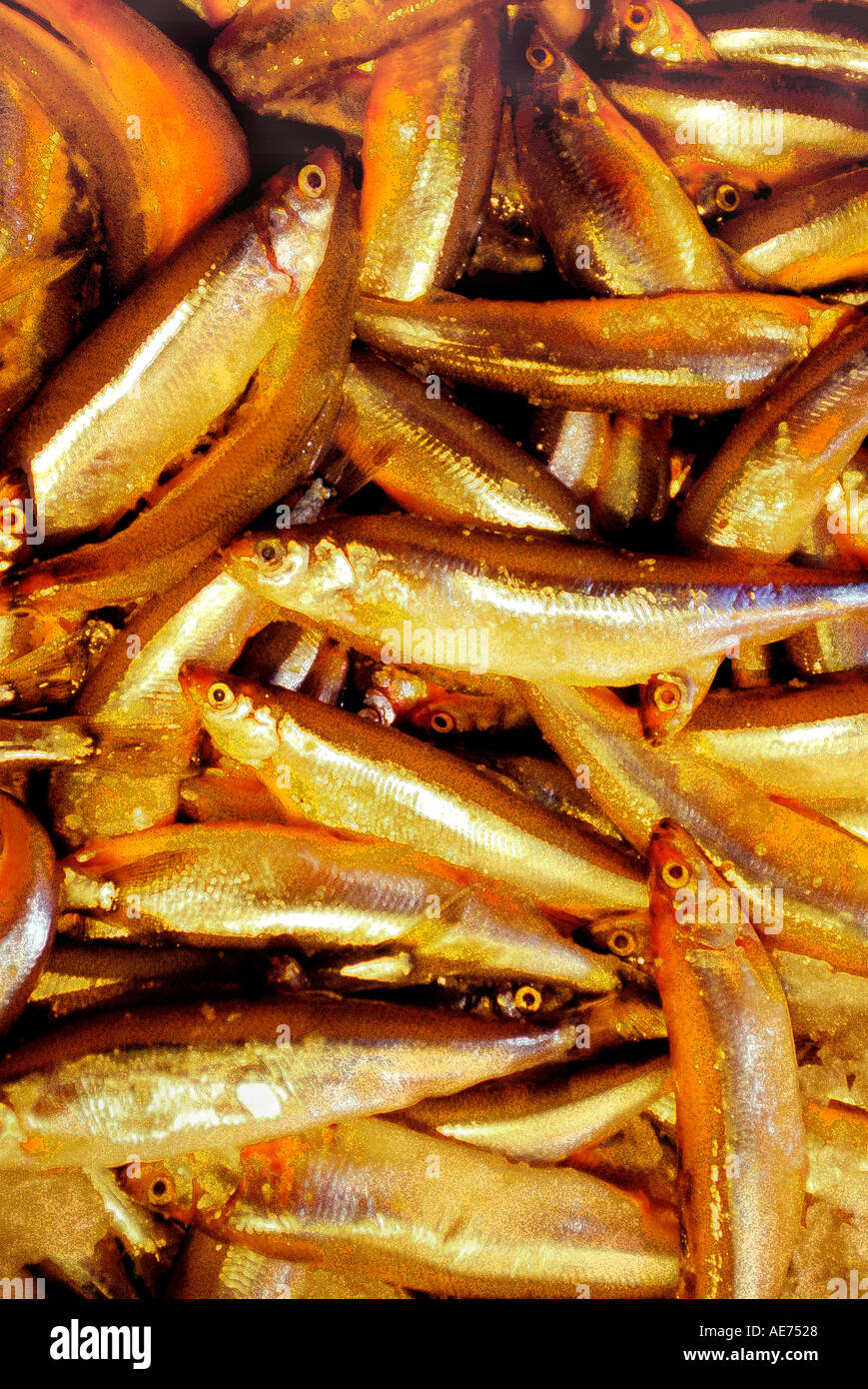 Eulachon fish hi-res stock photography and images - Alamy