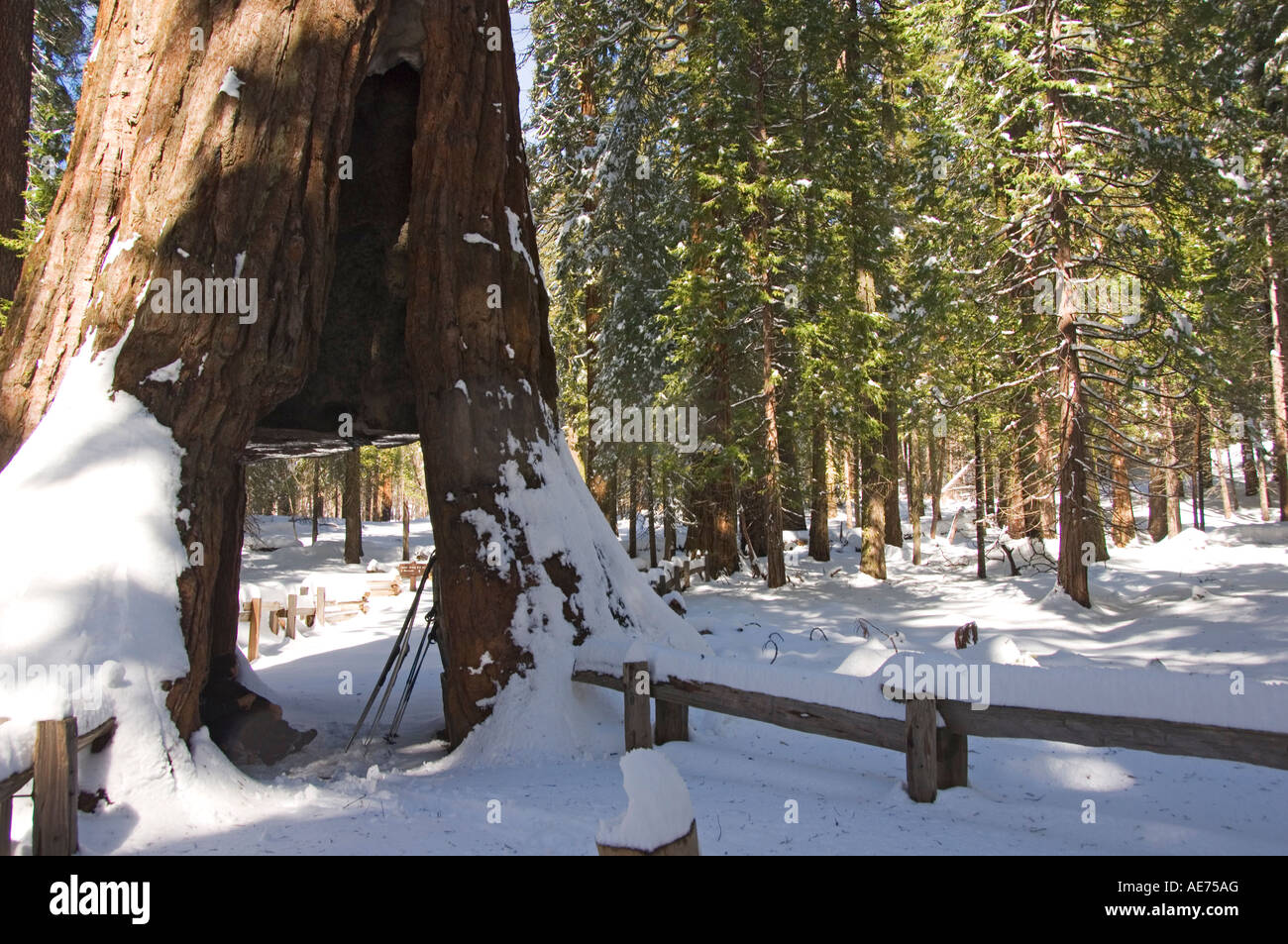 USA California Yosemite National Park Fresh Walkers taking a break ...
