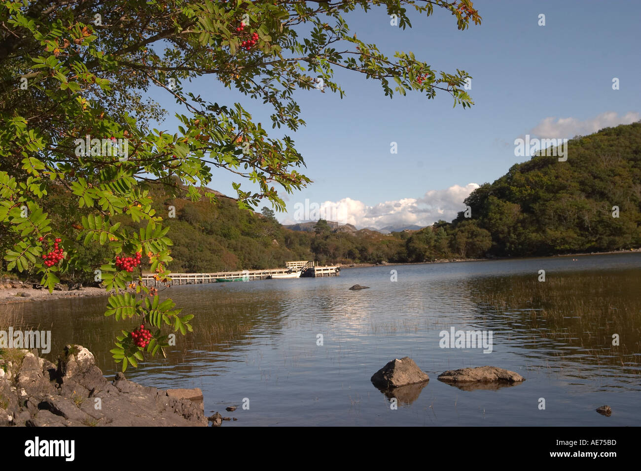 Loch Morar, Scotland Stock Photo - Alamy
