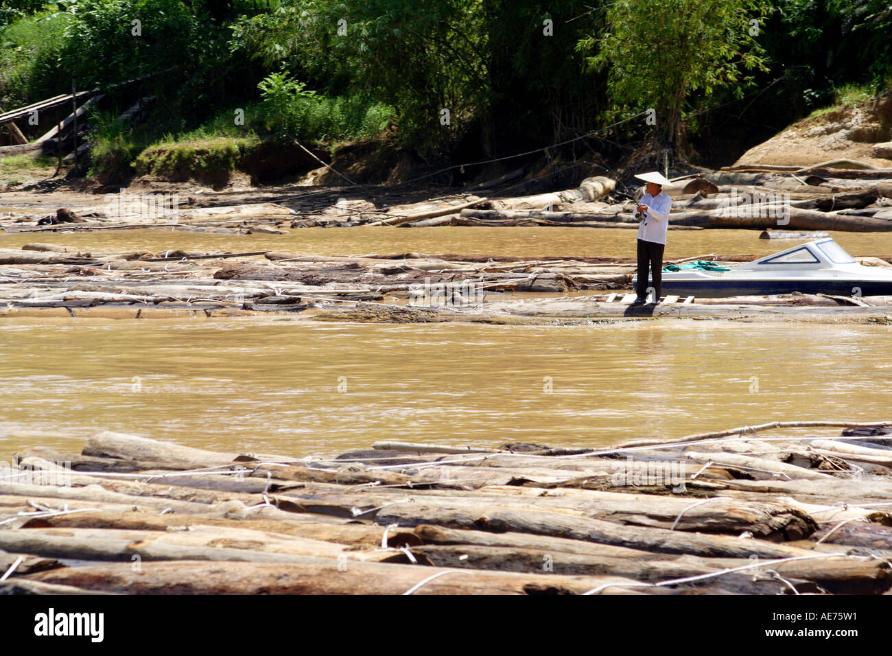 Log Jam Floating to Market, Batang Rajang River Between Sibu and Kapit ...