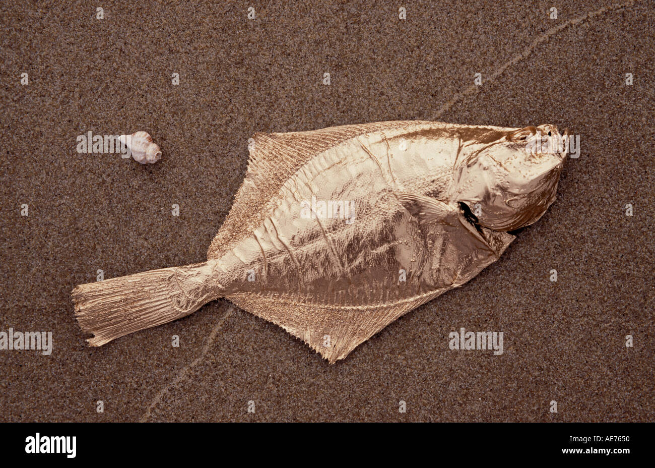 Gold Painted Fish on Sand Stock Photo - Alamy