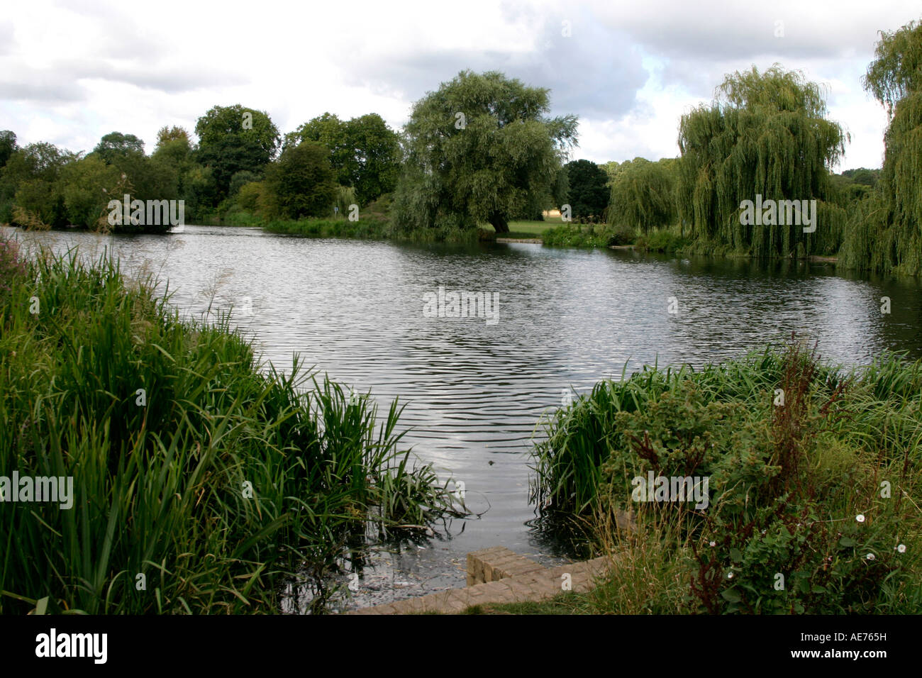 river cray footscray meadows kent uk 2007 Stock Photo - Alamy