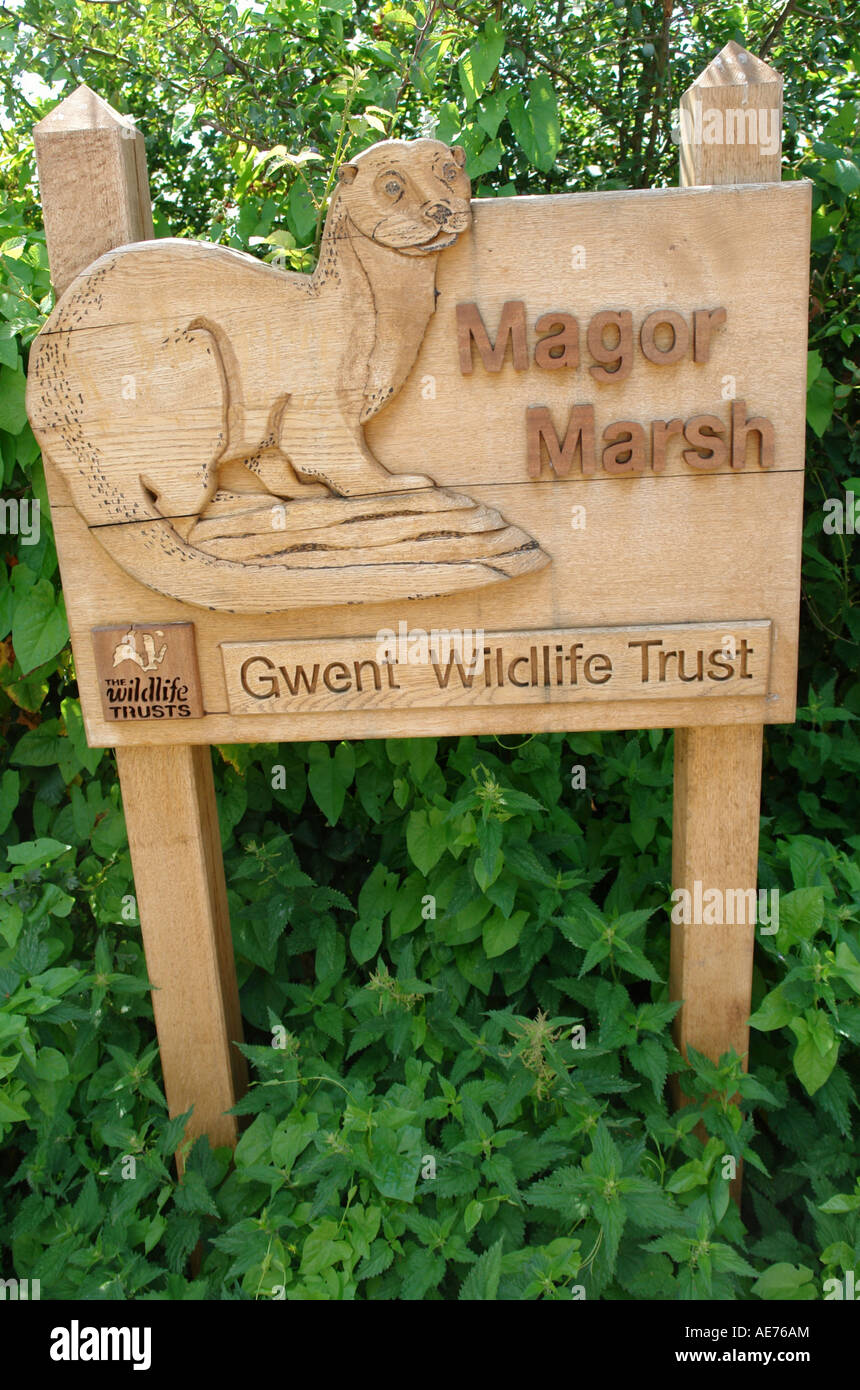 Magor marsh nature reserve hi-res stock photography and images - Alamy