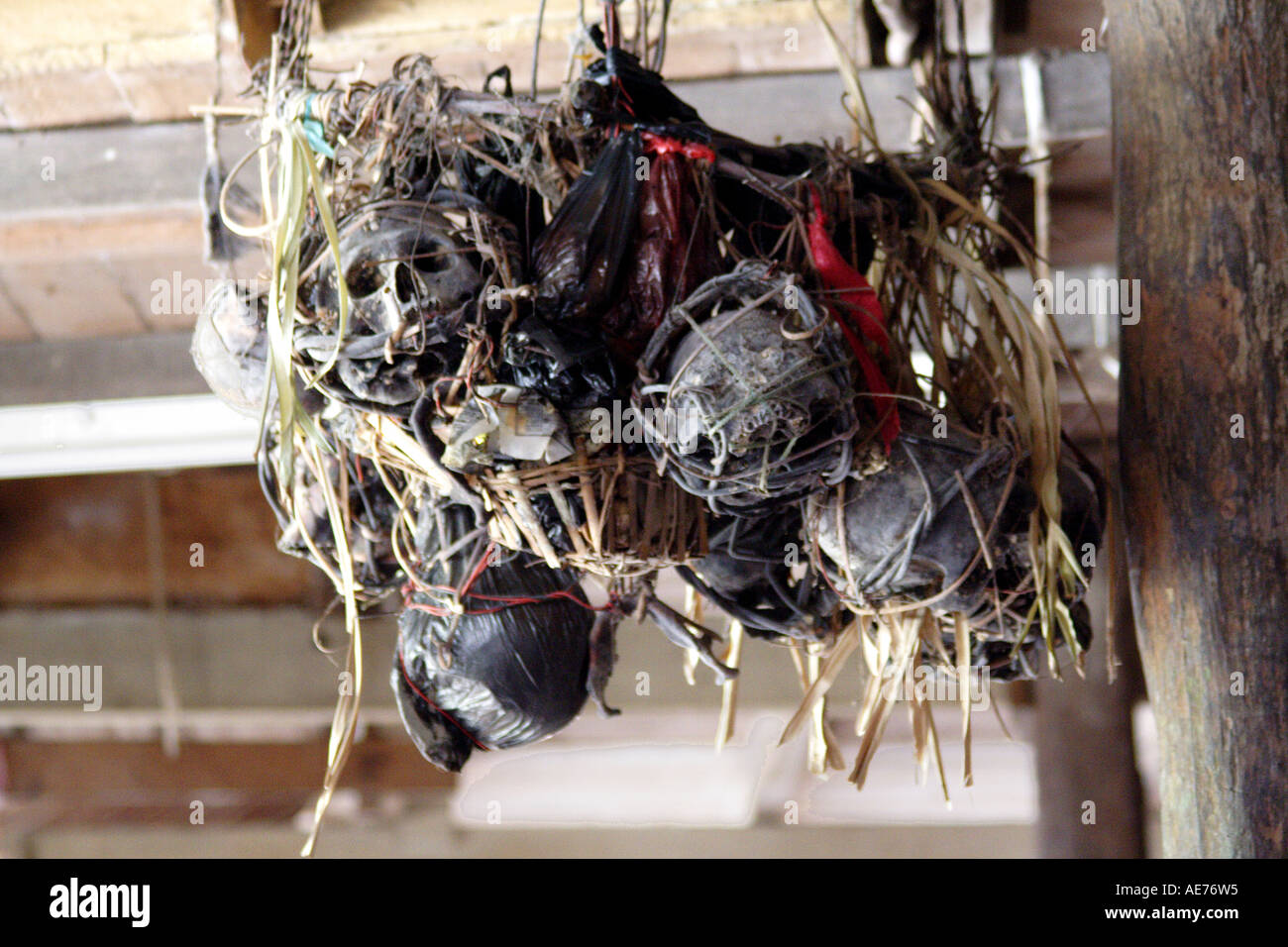 Iban Tribe Trophy Skulls Inside Rumah Bundong, a Traditional Iban ...