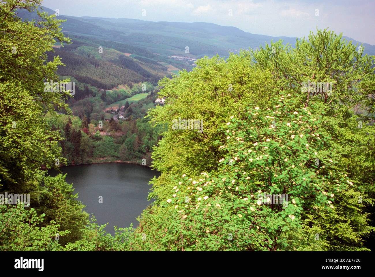 Gemuendener Maar a typical round volcanic lake in the Eifel Germany ...
