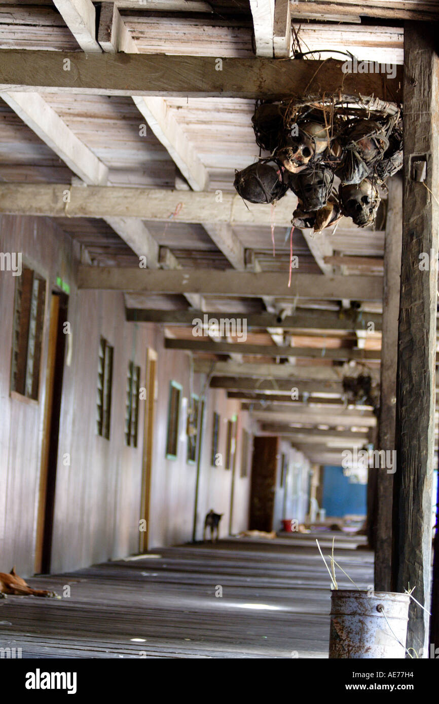 Iban Tribe Trophy Skulls Inside Rumah Uluyong, a Traditional Iban ...