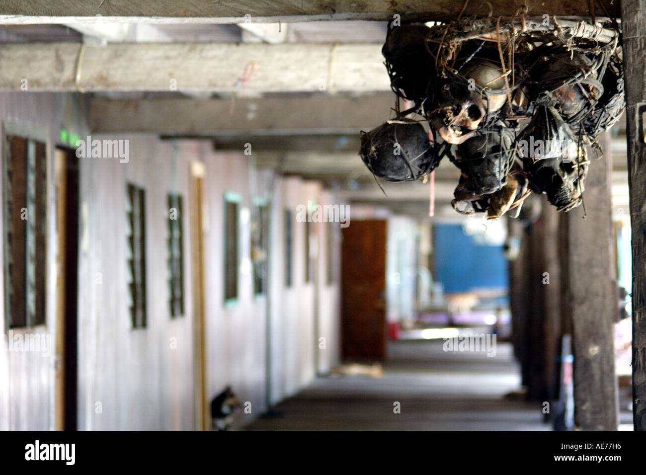 Iban Tribe Trophy Skulls Inside Rumah Uluyong, a Traditional Iban ...