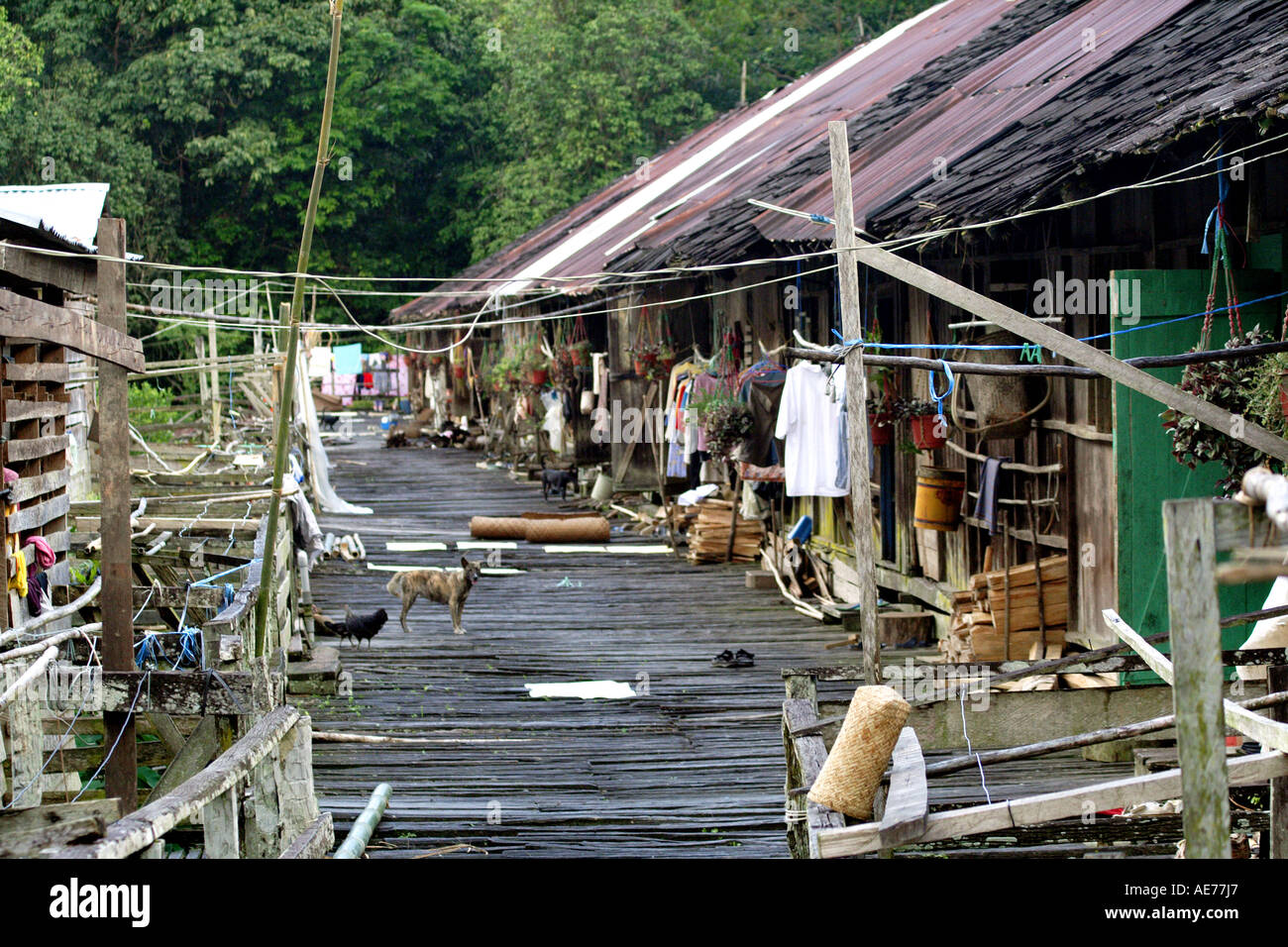 Porch at Rumah Uluyong, a Traditional Iban Longhouse, Kapit, Sarawak ...
