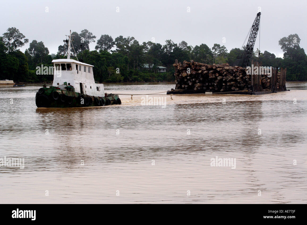 Tugboat Pulling a Log Barge, Part of a Major Logging Operation on the ...