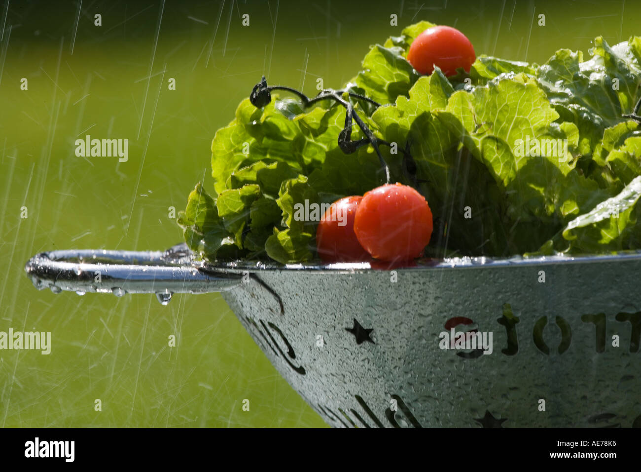 Fresh salad in the rain Stock Photo - Alamy