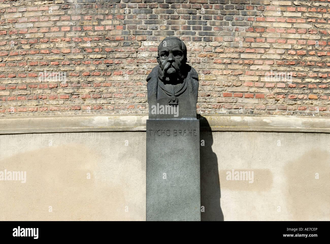 Tycho brahe nose hi-res stock photography and images - Alamy