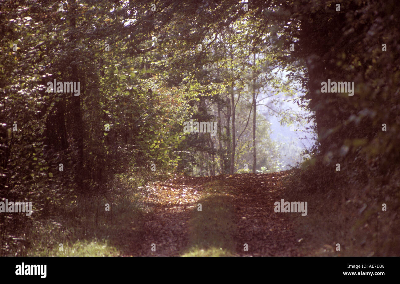 Places to visit to find peace hi-res stock photography and images - Alamy